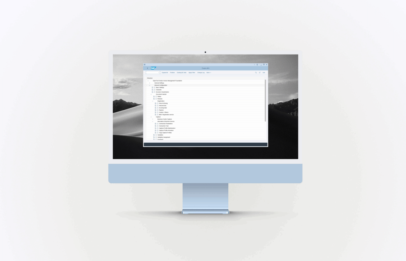 Articles related to SAP Vendor Invoice Management (VIM)